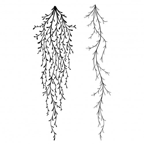 Spanish Moss Drawing